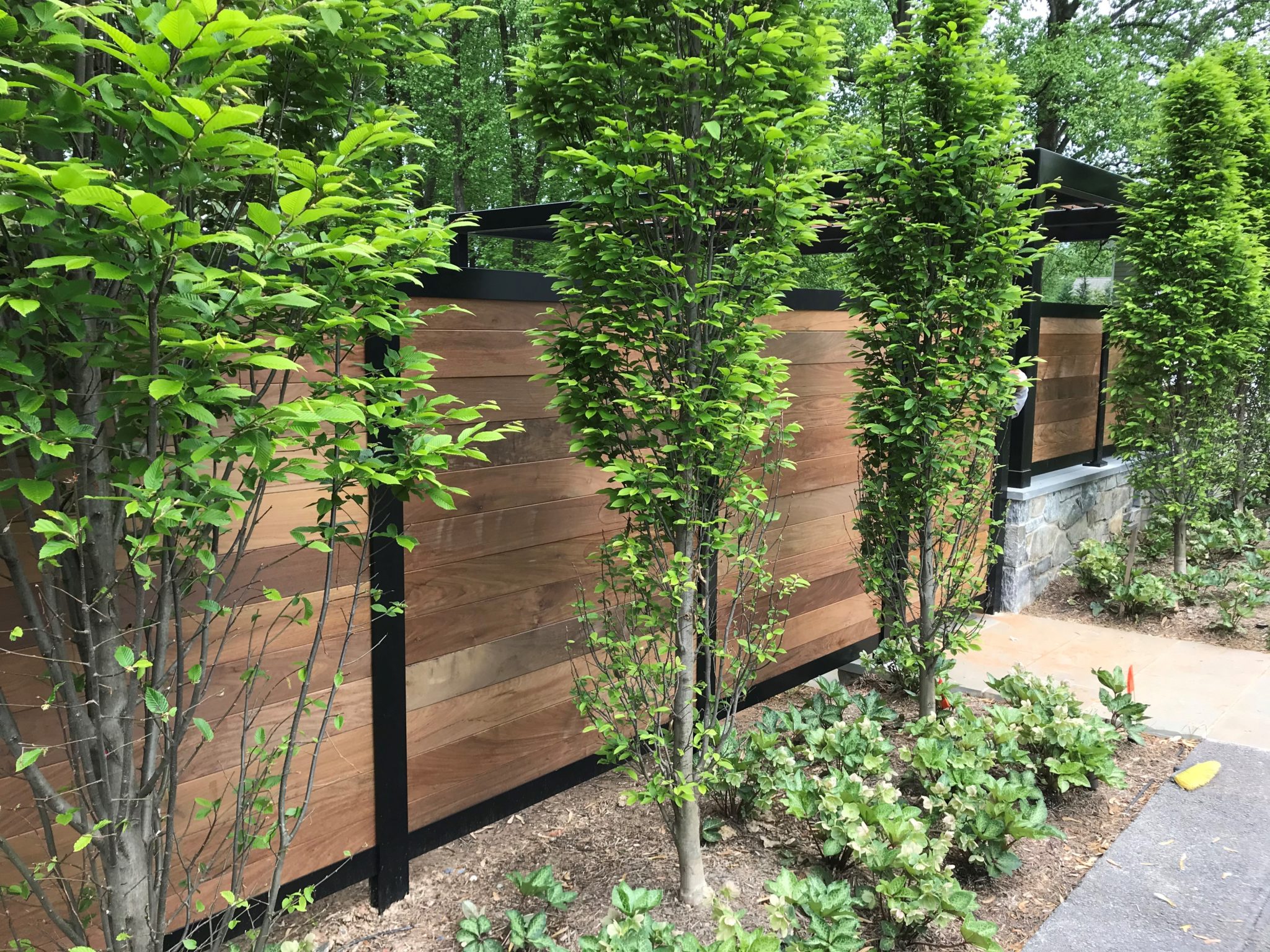 Planting Along Fence Line | Privacy Landscaping Along Fence Ideas
