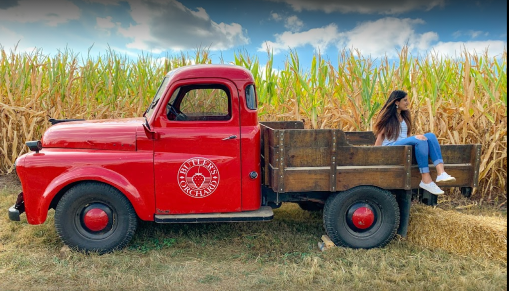 Maryland & Virginia Fall Farmers Markets | Frederick Fence