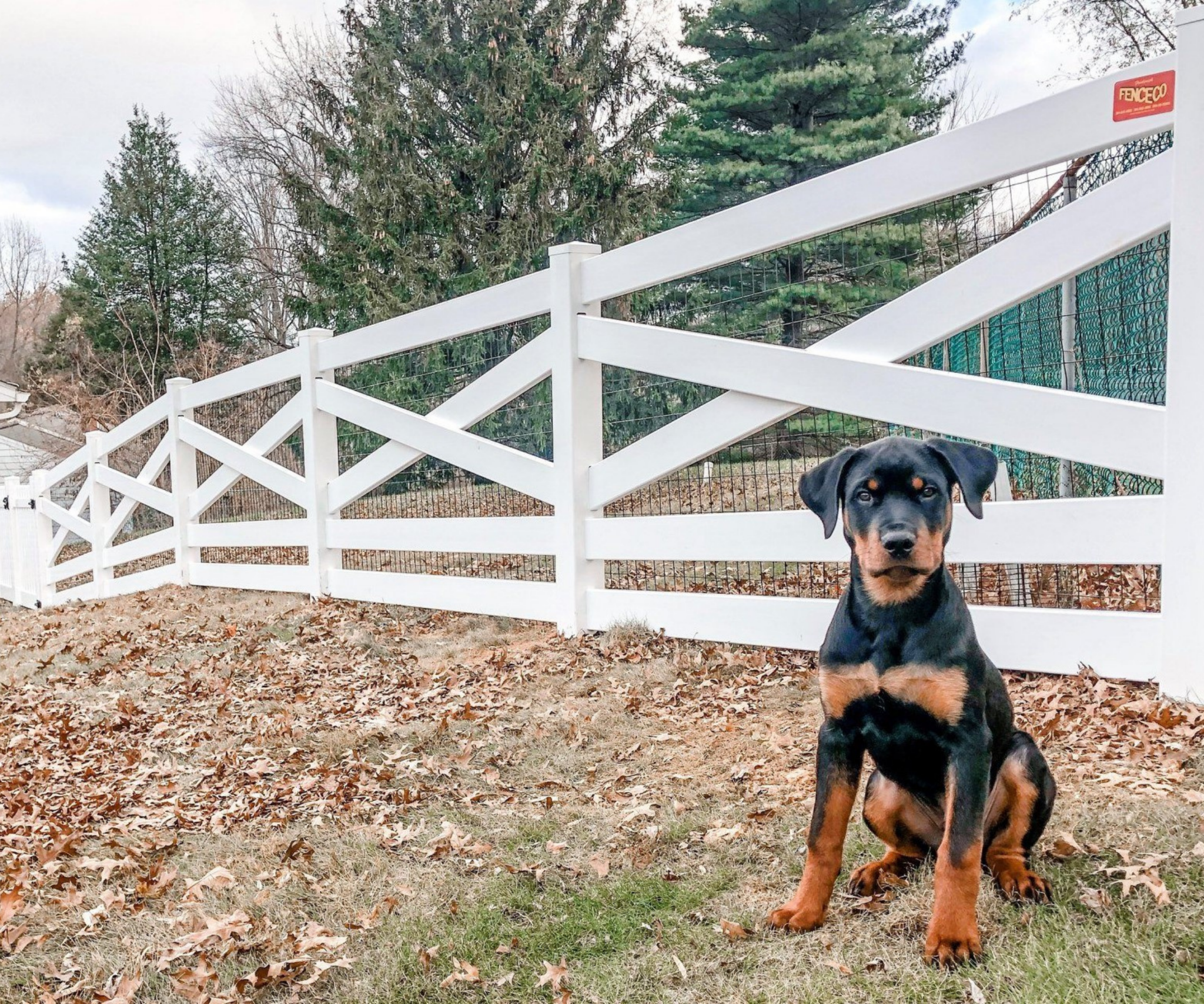 Pet Fencing FAQs | Pet Containment Fences | Frederick Fence