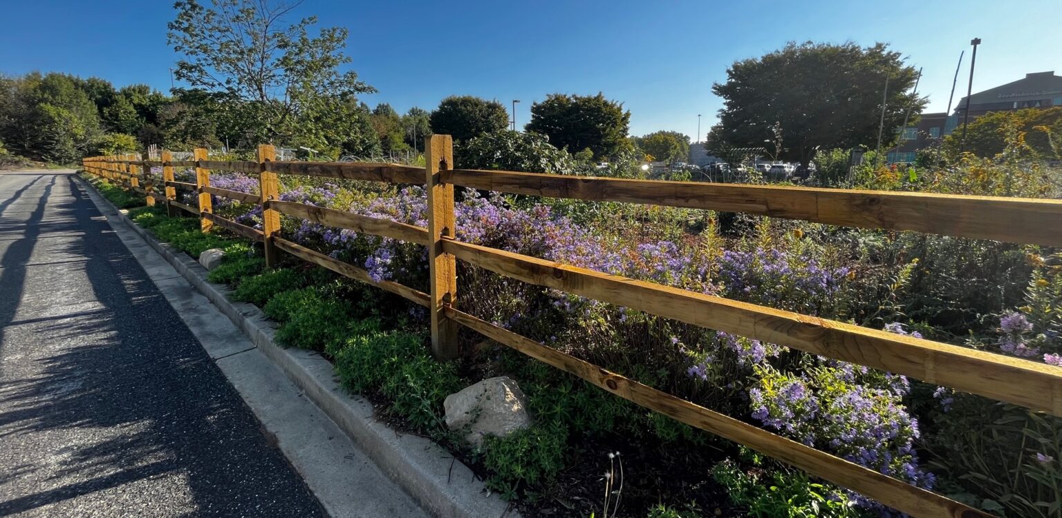 What Is Split Rail Fencing? Styles, Options, & Benefits Explained