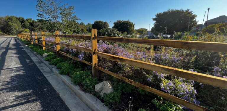 What Is Split Rail Fencing? Styles, Options, & Benefits Explained