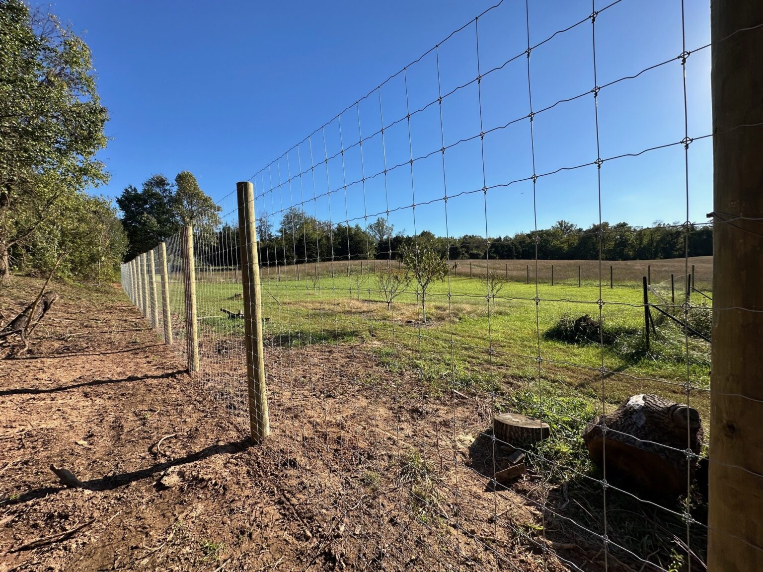 Residential Deer Fence Supplier & Installation Company